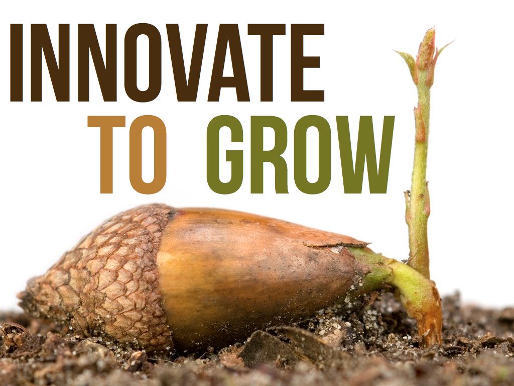 Innovate to Grow – Program Innovation